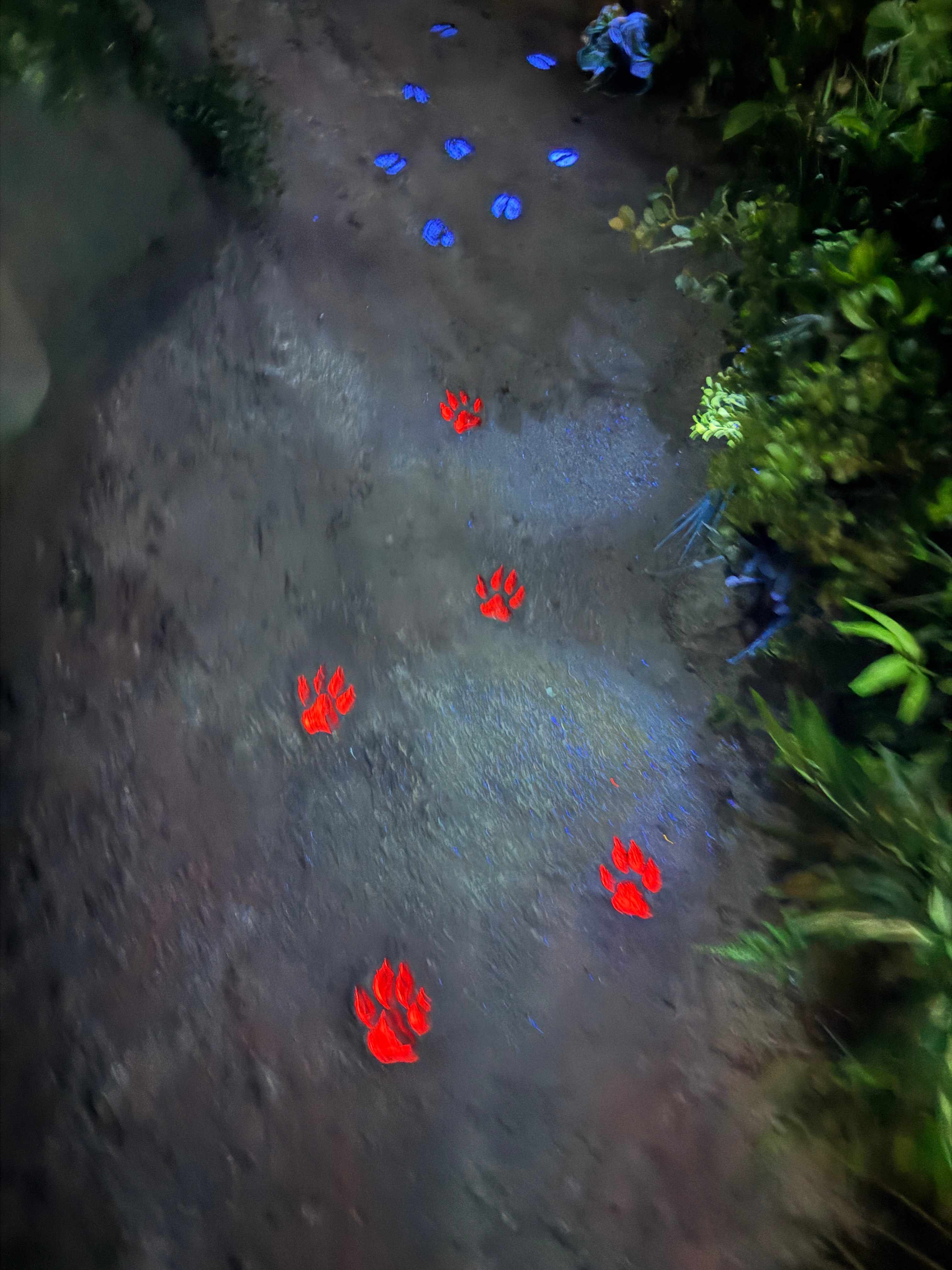 大阪万博にリベンジしてきた話③住友館｜あかつき_akatuki｜coconalaブログ